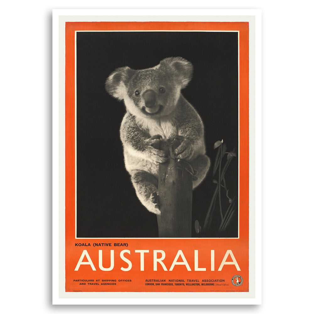 Australia - Koala Native Bear - Vintage Travel Poster – Travel Posters