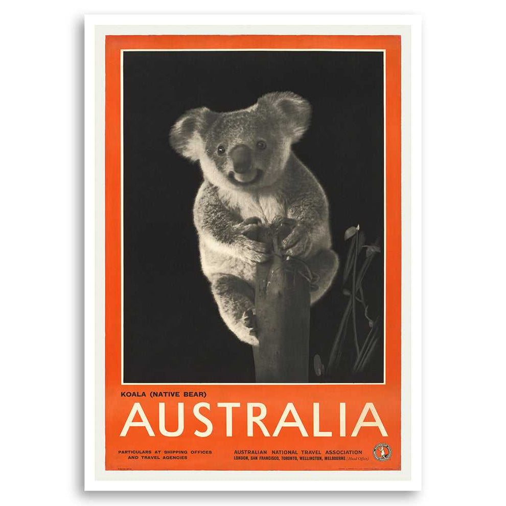 Australia - Koala Native Bear - Vintage Travel Poster – Travel Posters